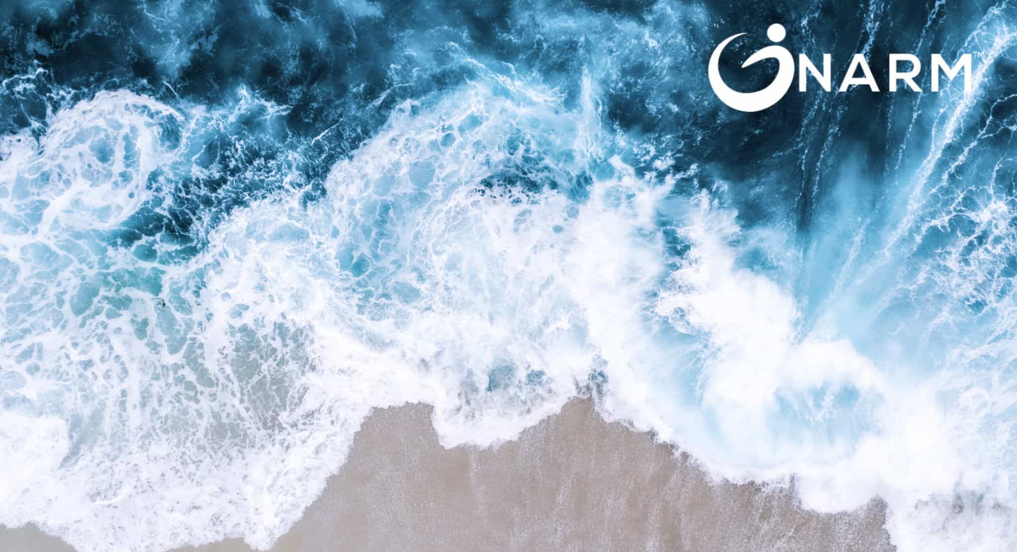 Mit NARM™ (Dr. Laurence Heller) endlich Schuld, Scham & alte ...